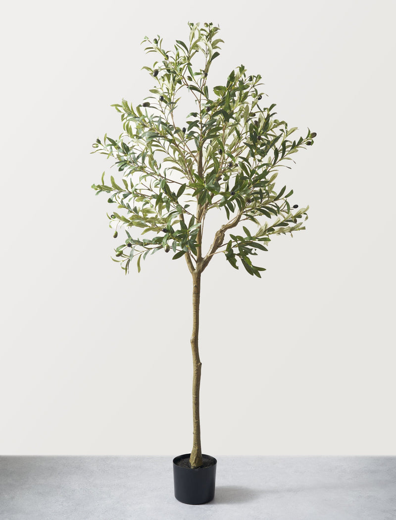 Faux Olive Tree 160cm / 5ft 2" – contempee